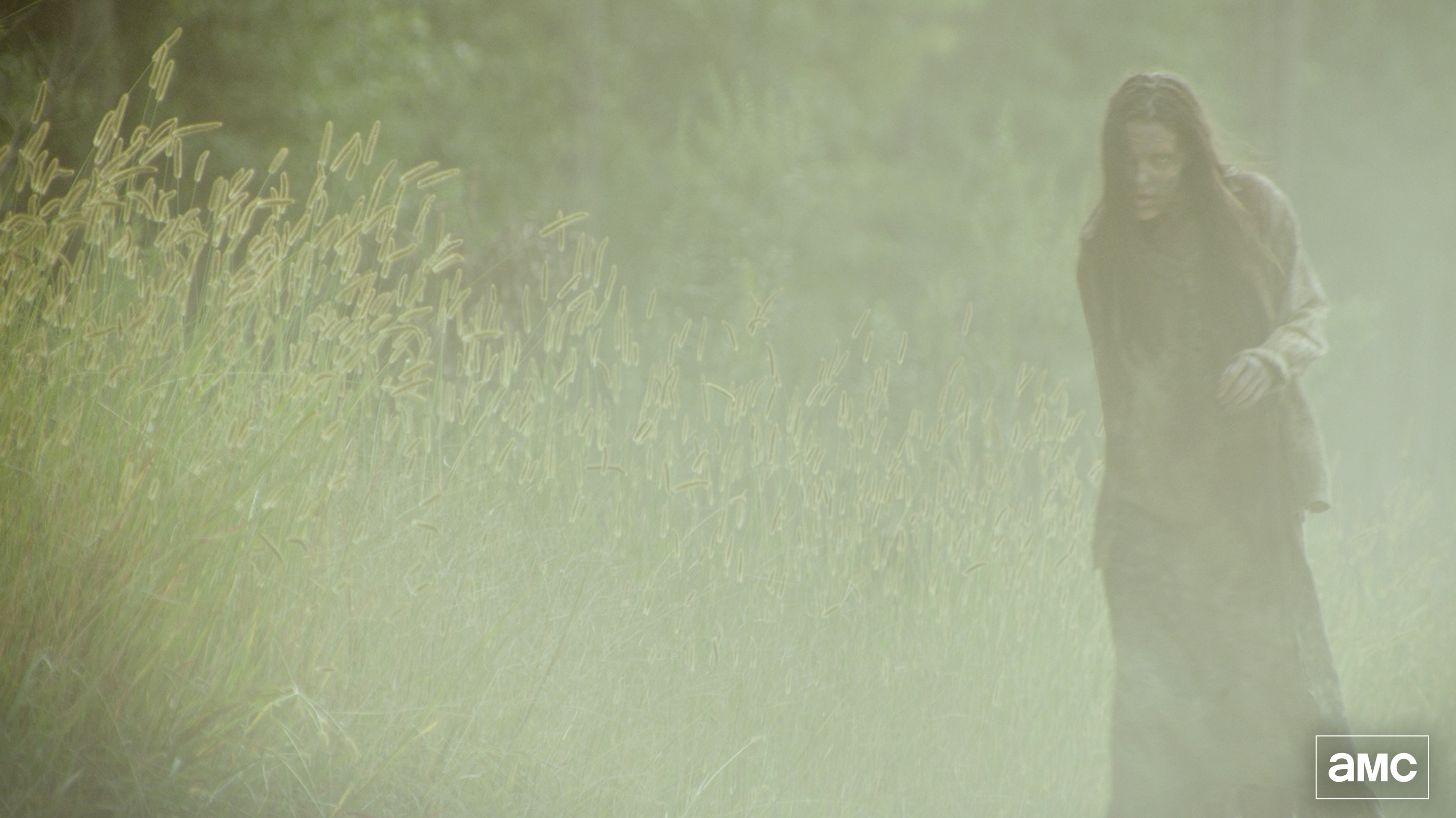 Case Study – Bark Bark