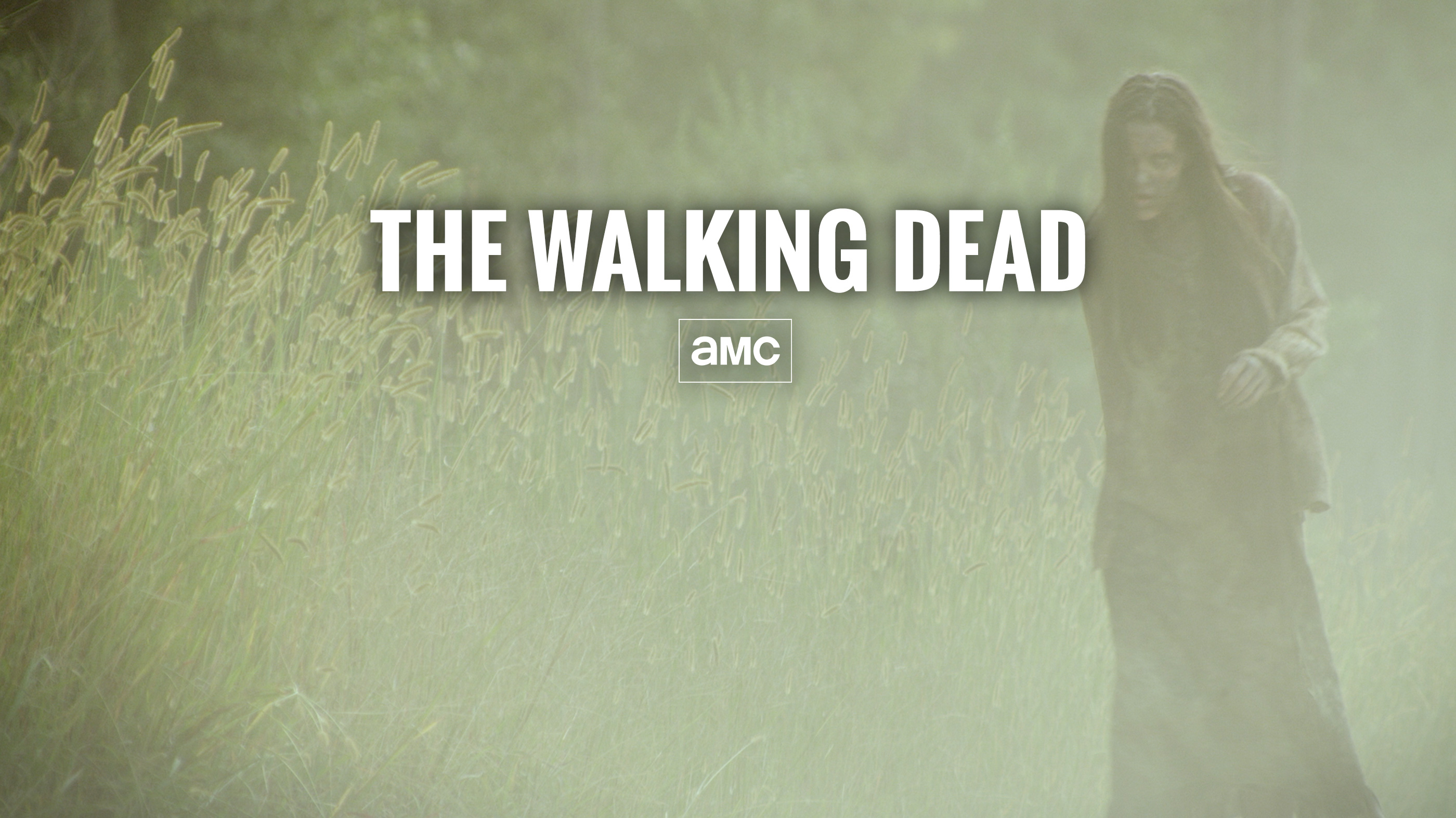 “AMC The Walking Dead” Case Study – Bark Bark