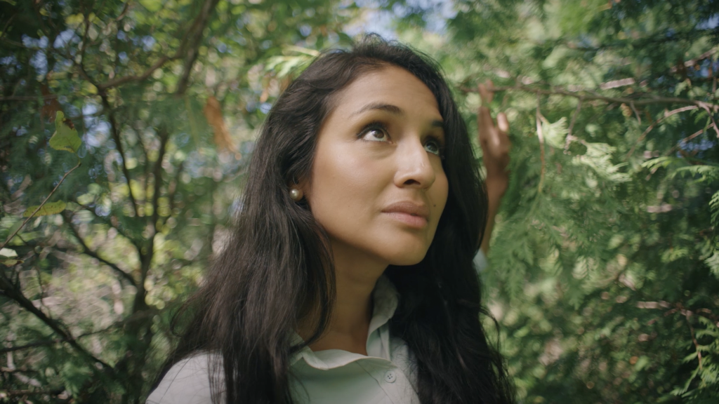 “Powered By Water” Case Study – Bark Bark